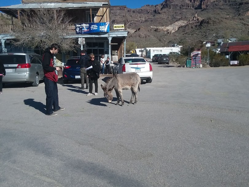 Burros, London Bridge – Geocaching with Capt. TailWagger